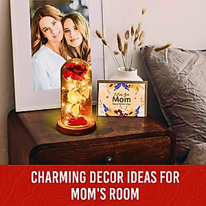 Norcalway Rose in Glass Dome with 6hr Timer - Beauty and The Beast Rose Decor in a Glass Dome for decorations-Premium Gift for anyone