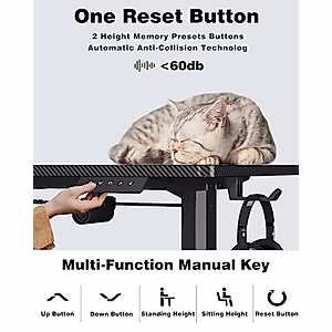 Shahoo Electric Standing Desk 55 Inch, Ergonomic Height Adjustable Table with T-Shaped Metal Bracket Modern Computer Workstations for Home Office, Black, 55x24 Inch