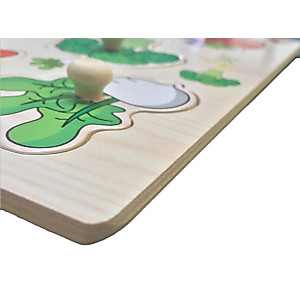 Home Learning Preschool Early Educational Development Colorful Fruit and Vegetables Wooden Peg Puzzle Jigsaw Bundle Shape Toys and Games for Age 3-7 Years Old Child Children Boys Girls