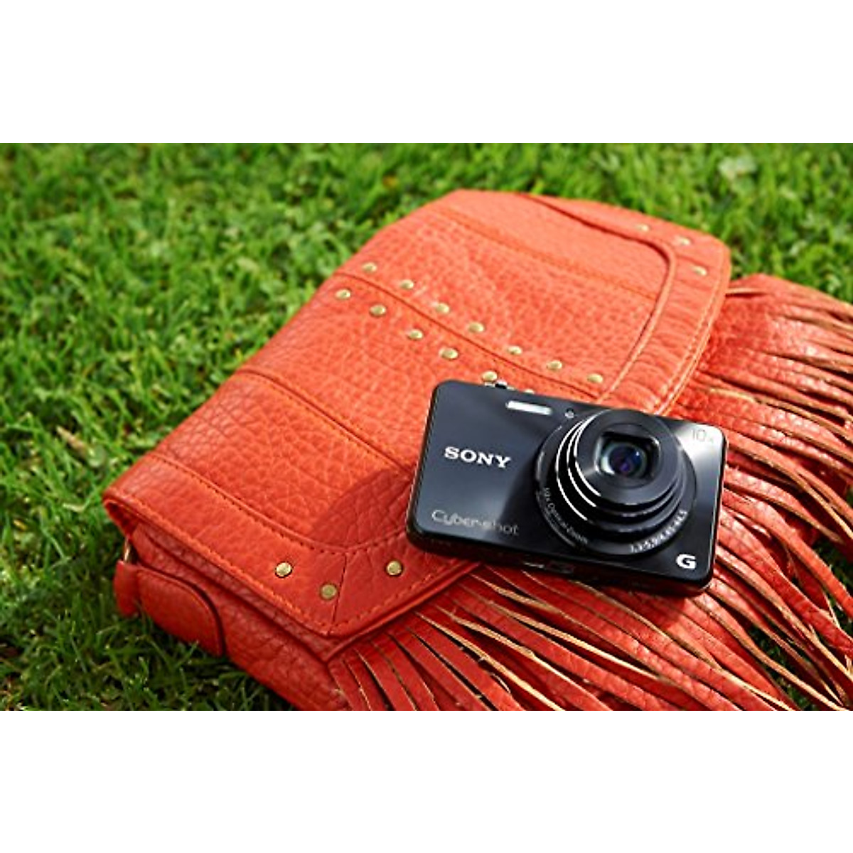Sony DSCWX220/B 18.2 MP Digital Camera with 2.7-Inch LCD (Black)