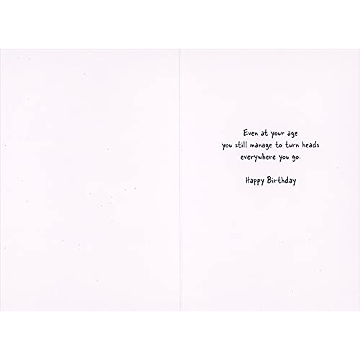 Pictura Steve Skunk : Putting Out More Than The Vibe Funny Birthday Card for Him : Man