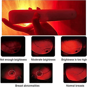 KTTR Handheld Vascular Display Instrument,Red Light Vein Finder, Vein Illumination Detector for Easy Finding Subcutaneous Veins Device for Hospitals Clinics Use