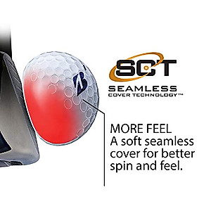 BRIDGESTONE 2021 e6 Golf Balls (One Dozen), White