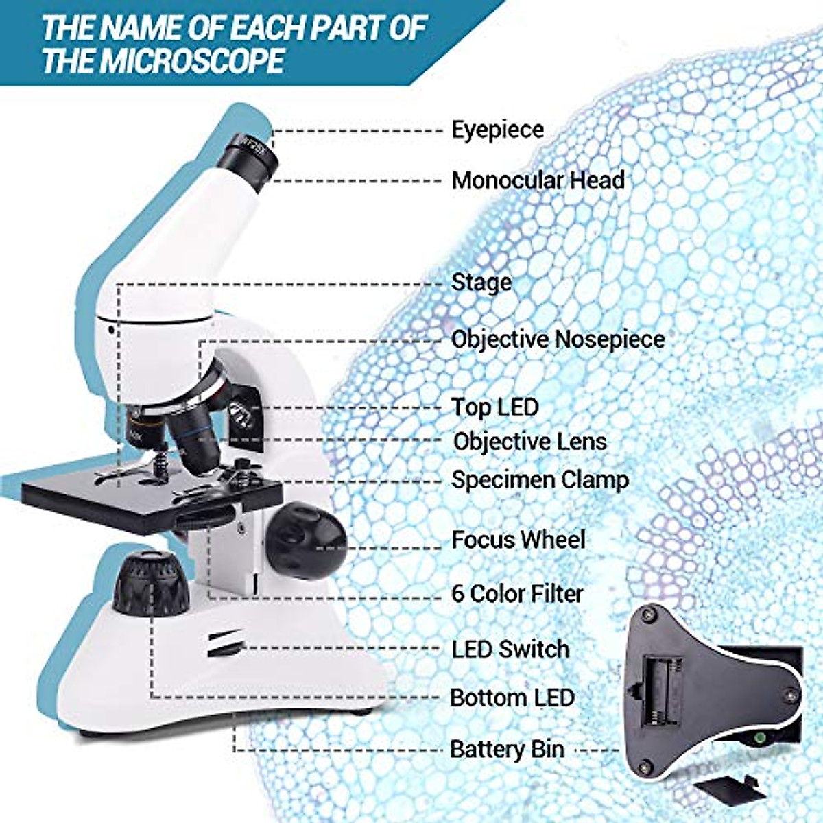 USCAMEL Microscope for Adults Kids, 100X-2000X Magnification Microscope with Microscope Slides Phone Adapter, Compound Monocular Microscope Kit for Students School Home Education