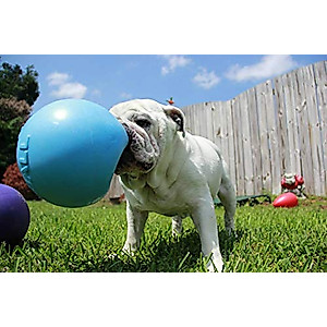 Jolly Pets Bounce-n-Play Dog Toy Ball, 8 Inches/Large, Blueberry, (Model: 2508 BB)