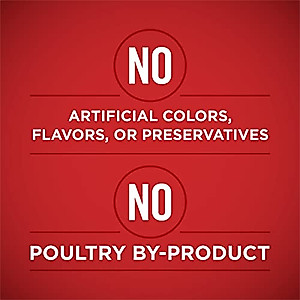 Purina ONE Tender Cuts In Wet Dog Food Gravy Chicken And Brown Rice Entree - (12) 13 Oz. Cans