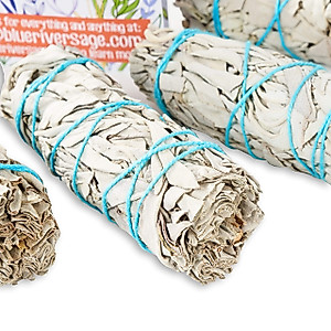 6 Pack White Sage ~ Sage Smudge Sticks for Smudging & Cleansing Energy ~ Bulk / Wholesale ~ Sustainably Grown (6 Pack)