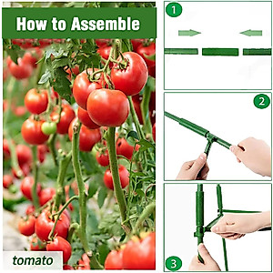 4ft 3-Pack Tomato Cage for Garden Plant Cages, Up to 48inch Plant Supports Tomato Trellis Stakes for Potted Plants, Heavy Duty Tomato Cages Cucumber Trellis for Garden Vertical Climbing Plants Flowers