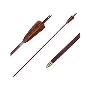 PANDARUS Archery 31-Inch Carbon Hunting Arrows, 4-Inch Turkey Feather Fletching with Replaceable Points, Targeting Practice Arrows Spine 500 for Recurve & Traditional Bows (12 Pack)