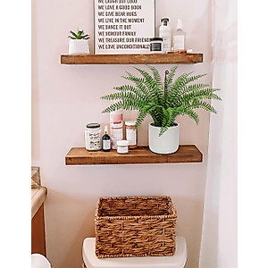 DILATATA Faux Plant Indoor in Ceramic Pot 16" Artificial Potted Boston Fern Fake House Plants for Desk Office Bathroom Garden Decoration