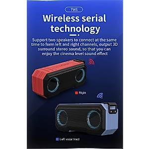 E-SHIDAI portable speaker, Bluetooth dual speaker music player That can play in water, ultra strong sound quality, RGB light and shadow speaker, battery life of 12 hours (Black)