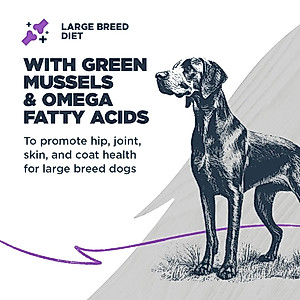 Blackwood Large Breed Dry Dog Food, Whitefish with Ancient Grains, 10 Pound Bag for Adult Dogs, Slow Cooked with Green Mussels to Promote Hip & Joint Health
