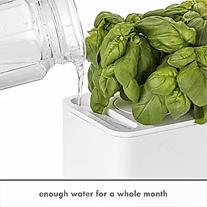 Click & Grow Indoor Herb Garden Kit with Grow Light | Smart Garden for Home Kitchen Windowsill | Easier Than Hydroponics Growing System | Vegetable Gardening Starter (3 Basil Pods Included), Grey