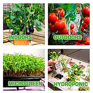 10 Assorted Vegetable Seeds - 100% Non GMO Variety Pack - 840+ Heirloom Garden Seeds for Planting Vegetables - Cucumber, Carrot, Tomatoes, Broccoli, Cabbage, Radish Seeds and More