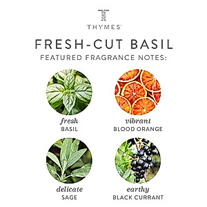 Fresh-Cut Basil Poured Candle