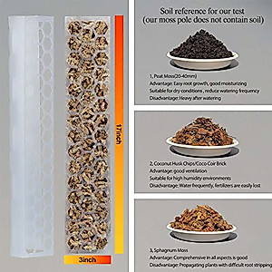 Haispring Plastic Moss Pole 4 Pcs Plant Stakes Extending to 62 Inch for Training Indoor Climbing Plants Such as Monstera to Grow Upwards-Use Plant Support Poles Work with Sphagnum Moss or Other soils