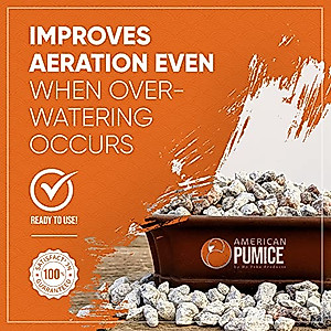 Ho Yoku Pumice for Plants, 2.25 Quarts, Horticultural American Pumice Rocks, Additive for Bonsai Soil, Succulent Soil, or Houseplants