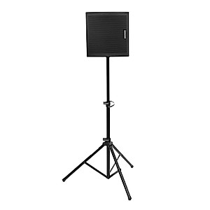 Samson SARSXM10A 800W 10-Inch 2-Way Active Stage Monitor