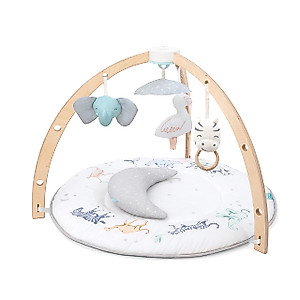 aden + anais Play and Discover Baby Activity Gym – 30+ Developmental Benefits - 3 Attachable Toys + Plush Tummy Time Pillow – 100% Cotton Muslin – Machine Washable