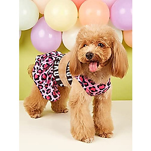QWINEE 2pcs Leopard Letter Dog Tank Top and Dress Set Puppy Vest Shirt Skirt for Small Medium Dog Cat Kitten Leopard Pink XS