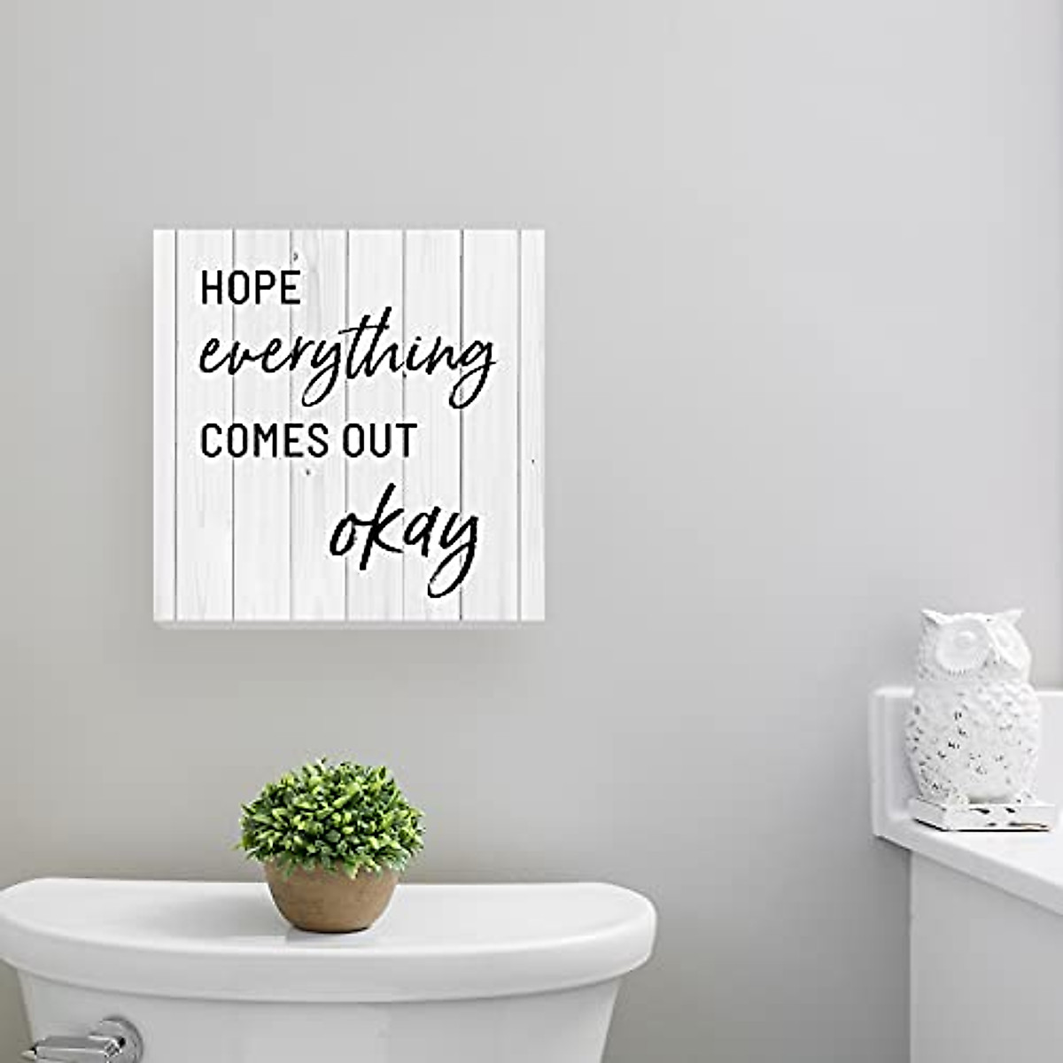 InsightOut Funny Bathroom Signs | Canvas Bathroom Wall Decor | 12x12" Toilet Sign Funny | Restroom Sign Decor | Bathroom Wall Signs | Great Gift for Bathroom (Everything Comes Out Okay)