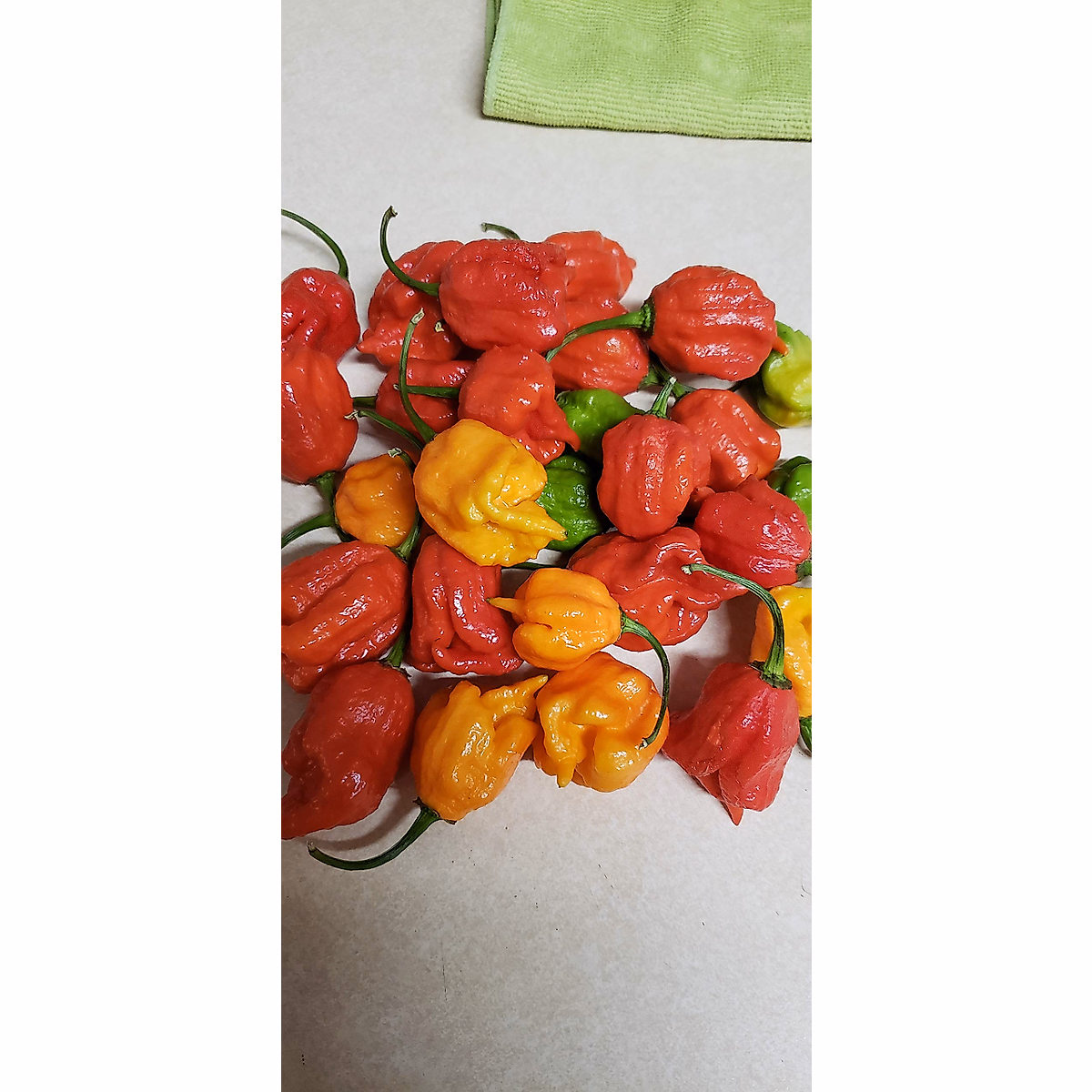 Fresh Super Hot Peppers - Mixed Box: Carolina Reapers, Ghost, Scorpion, ETC.