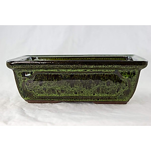 8" Rectangular Moss Green Bonsai/Succulent Pot + Tray + Rock + Mesh Combo