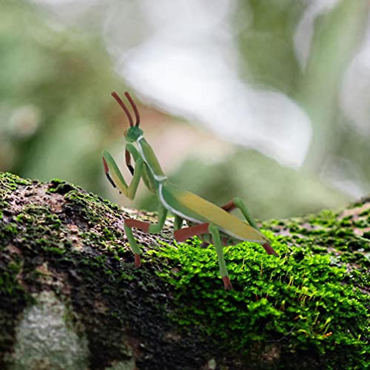 Fake Mantis Insect Figure Model: Plastic Praying Mantis Figurines Model Kit Insect Animal Prank Gifts for Table Decor Garden Animal Props 2Pcs