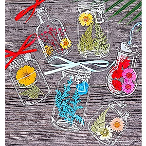 Dried Flower Bookmarks Set, DIY Bookmarks, Transparent Dried Flower Bookmarks, Beautiful DIY Dried Flower Bookmark, Flower Bookmarks Maker (A)