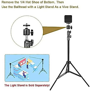 UTEBIT 2 Pack Mini Ball Head with 1/4" Hot Shoe Mount Adapter Max Load 5.5lb 360° Swivel Tripod Ball Head for DSLR Camera Camcorder, Light Bracket