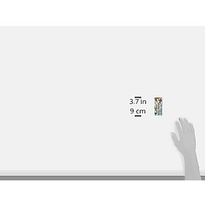 Jim Dunlop Guitar Picks (26903140101)