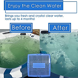 Hot Tub Spa Mineral Purity for Sundance Spas, Mineral Cartridge to Clean and Clarified Spa Water Last for 4 Months Treats, Pack of 2