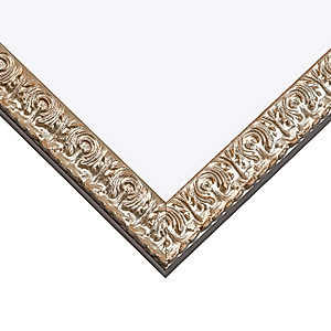 Craig Frames Versailles Picture Frame, 16 x 20 Inch, Silver