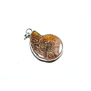 XUETZALCOATL Golden Shaligram Pendant Enerziged 21.1ct