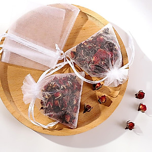 ENNIYU Mini Sheer Organza Gift Bags, 2x3 Breathable Storage Bag with Drawstring, Mesh Bags for Wedding Favor Party Pouch, Jewelry, Festival, Makeup, Christmas Candy