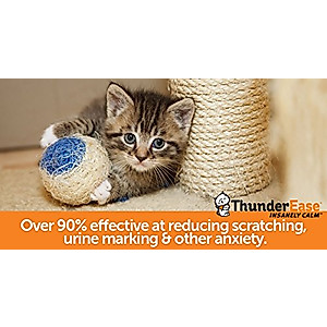 ThunderEase Cat Calming Pheromone Diffuser Kit | Powered by FELIWAY | Reduce Scratching, Urine Spraying, Marking and Anxiety (30 Day Supply)