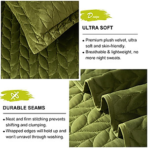 Ivellow Velvet Quilt Queen Size Green Lightweight Velvet Comforter Set Oversized Bedspread Coverlet Full for All Season 3Pcs Luxury Quilted Bedding