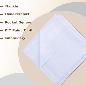 GB Men's Handkerchiefs 100% Cotton Solid White with Stripe Large Classic Hankies Bulk Set 12 Pack
