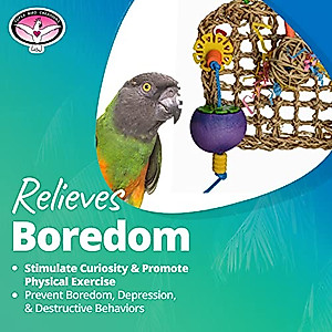 Super Bird Creations SB965 Mini Seagrass Foraging Wall Bird Toy, Small/Medium Bird Size, 8" x 7" x 4"