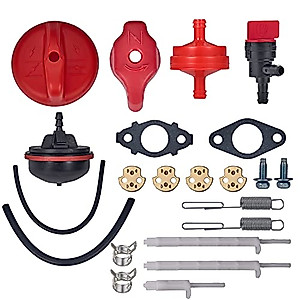 Mikatesi 798917 Carburetor for Briggs & Stratton 790558 695727 794587 594014 590907 798918 794588 593357 795485 Model Snow Blower Engines Carb