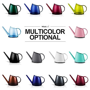 WhaleLife Indoor Watering Can for House Bonsai Plants (1.4L, Gray)