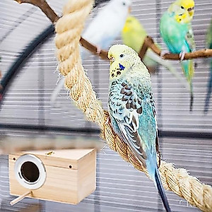 Hiceeden 2 Pack Parakeet Nest Box, Natural Wood Bird Nesting Box, Small Bird House Breeding Box for Budgie Lovebirds, Cockatiel, Parrots Mating, Aviary, 7.7×4.7×4.7 Inches