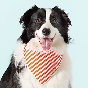 Paws Wishes Dog Bandana 2 Pack, American Lobster and Coral Stripes Set Holiday in Maine, Pet Friendly Design, Hair and Water Resistant, Adjustable Dog Scarf for Small Boy Girl Dog