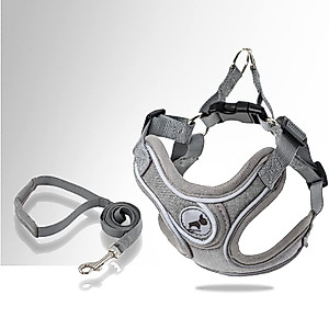 SAEGYPET Dog Harness with Leash Set, No Pull Reflective Strips Adjustable Step in Dog Collars Harness with Breathable Padded Vest Harness for Small Large Dogs Training and Running (S, Gray)