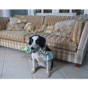 Petmate Fat Cat Incredible Strapping Yankers Dog Toy, Snake (Colors May Vary)