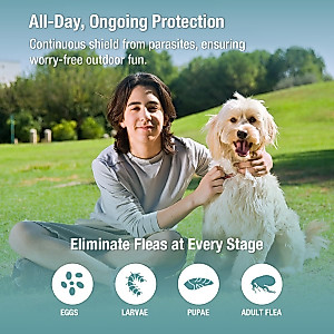 ZingZap Flea & Tick Collar 2-Pack Gray, Protects from Biting Insects, Adjustable Fits Both Dogs & Cats, Built-in Plant Based Formula, Slow Release Lasting Protection, Waterproof