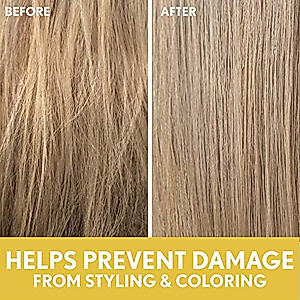 Aveeno Deep Moisturizing Sunflower Oil Blend Shampoo with Oat for Dry Damaged Hair, Dye, Paraben & Sulfate Surfactants Free, 12 Fl Oz