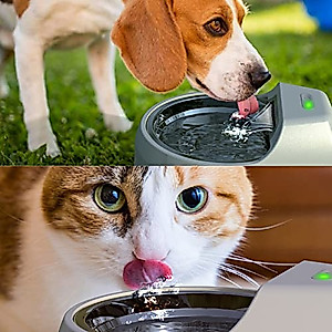 AUKL Dog Water Bowl Dispenser Auto Filling Dog Faucet Waterer Connects to Garden Hose