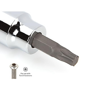 TEKTON 3/8 Inch Drive Torx Bit Socket Set, 12-Piece (T10-T60) | SHB91103