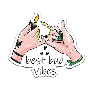 Miraki Best Bud Vibes Sticker, Stoner Girl Sticker, Funny Weed Sticker, Smoking Sticker, Pipe Sticker, Water Assitant Die-Cut Vinyl Funny Decals for Laptop, Phone, Water Bottles, Kindle Sticker